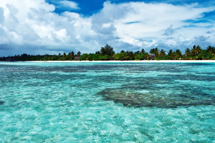 Ari atol Dhigurah :: Perseus Diving